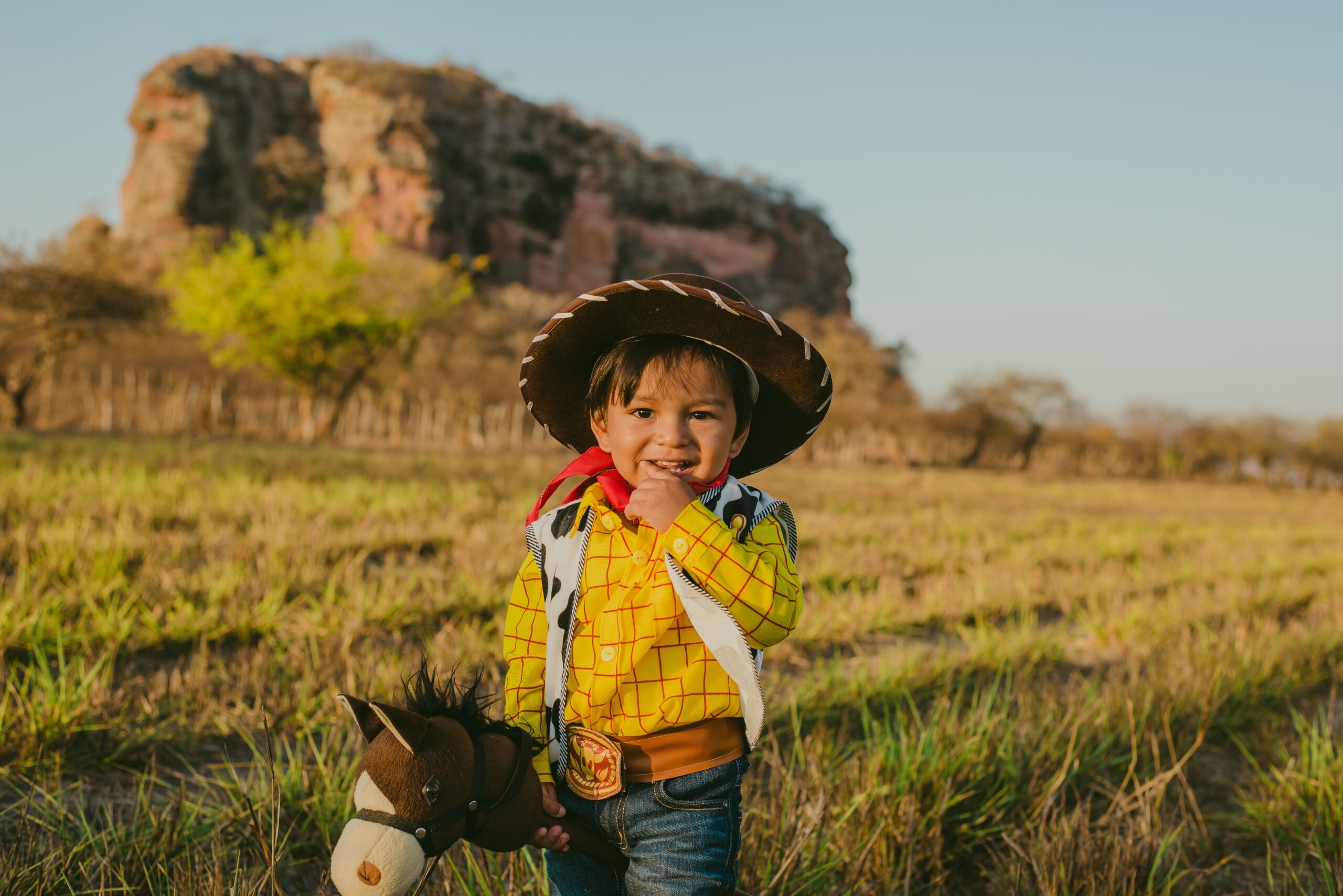 Elektrische Pferde zum Reiten ⋆ Ratgeber & Vergleich